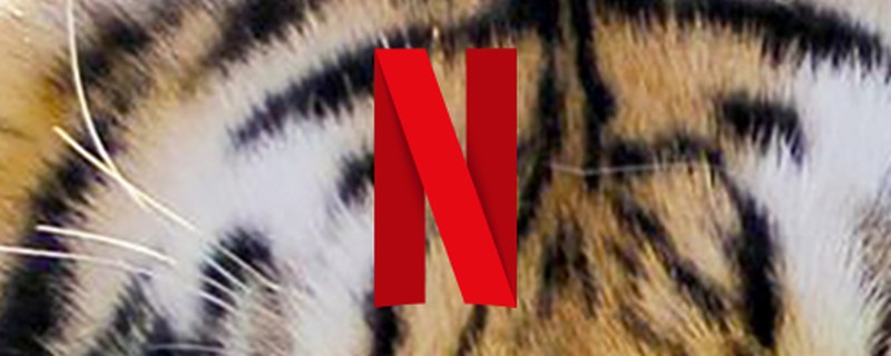 Netflix Brand Site